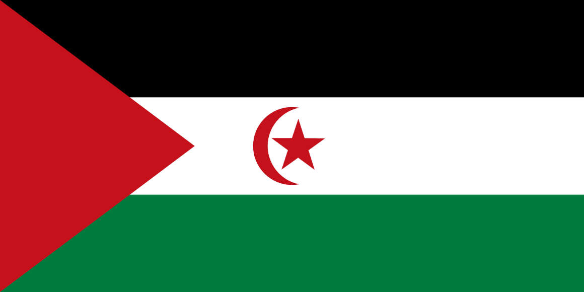Saharan demokraattisen arabitasavallan lippu - Maiden liput